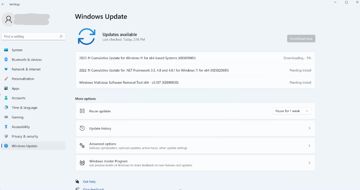 Updating Windows