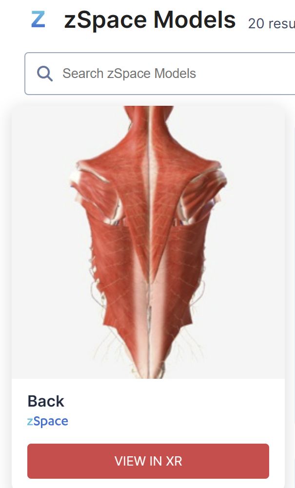 Biodigital Human zSpace