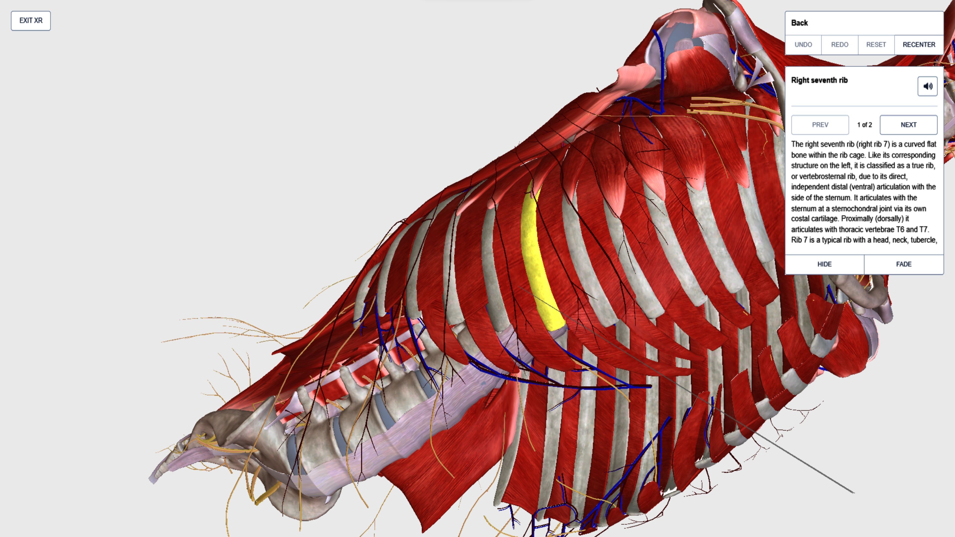 Biodigital Human zSpace